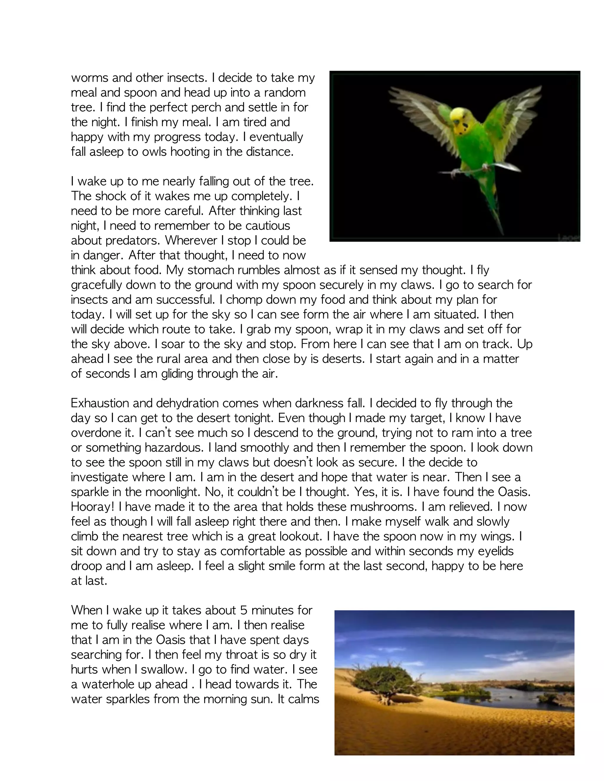 The last turtle | PAGES | Reptiles | Pets