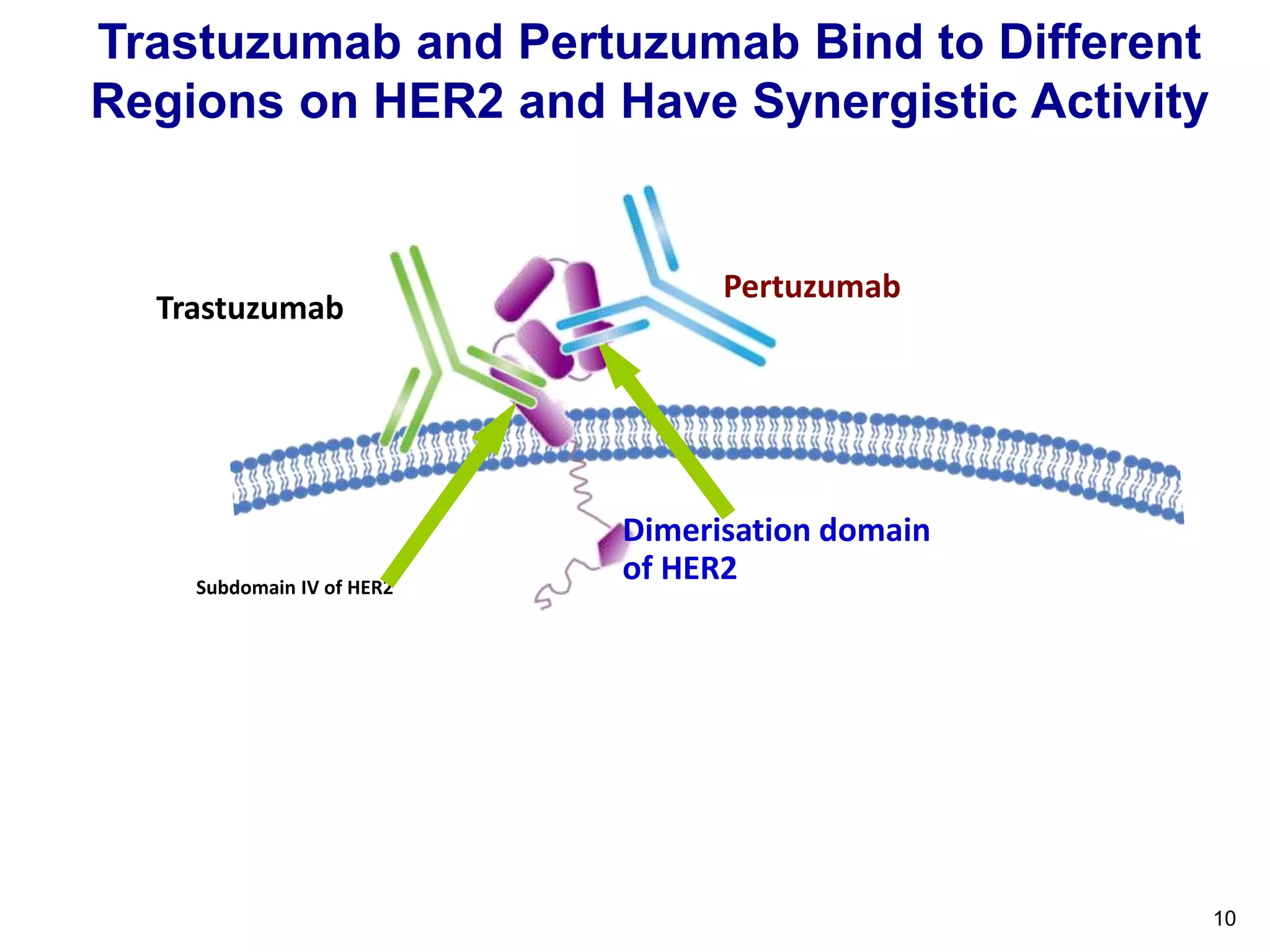 The Latest Treatments for HER2-Positive Breast Cancer | PPTX