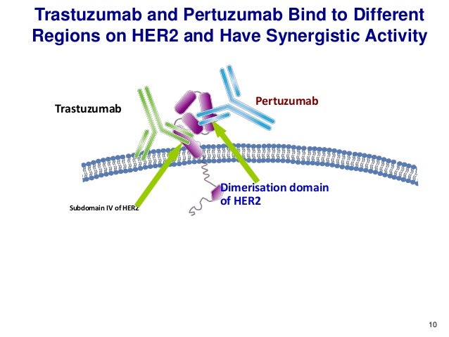 The Latest Treatments for HER2-Positive Breast Cancer