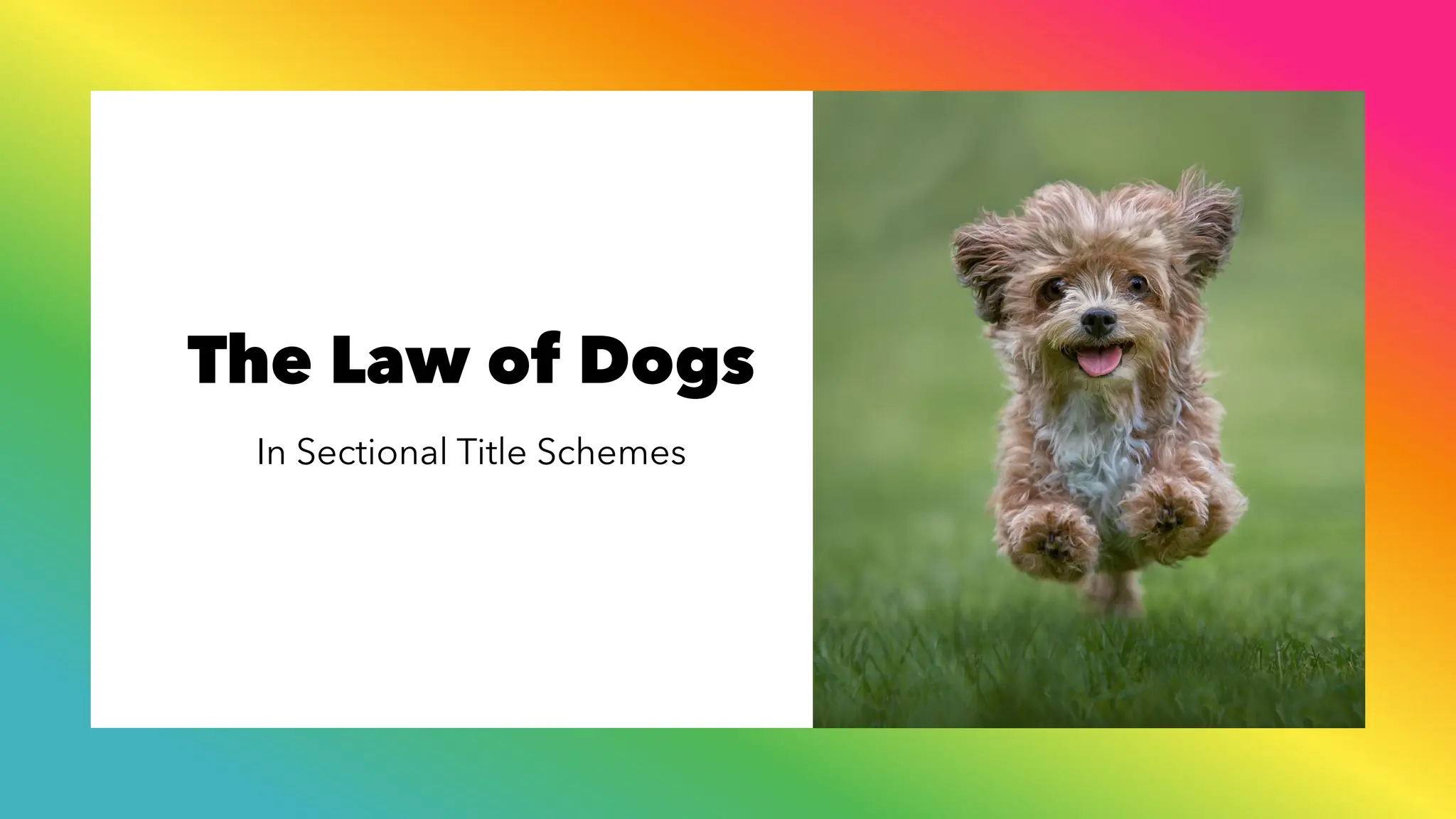The Law of Dogs in Sectional Title Schemes | PDF