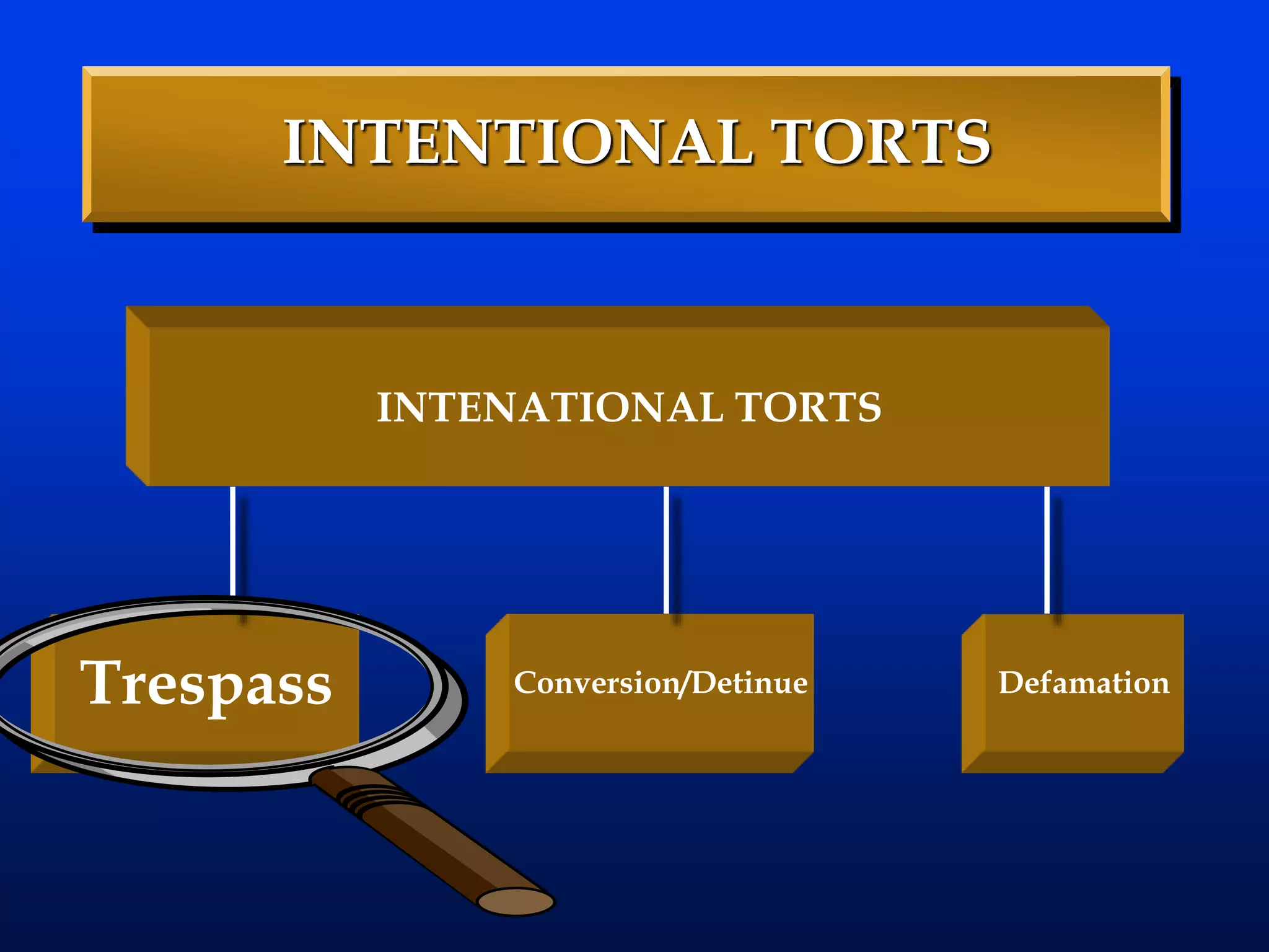 The law of tort power point slides.ppt