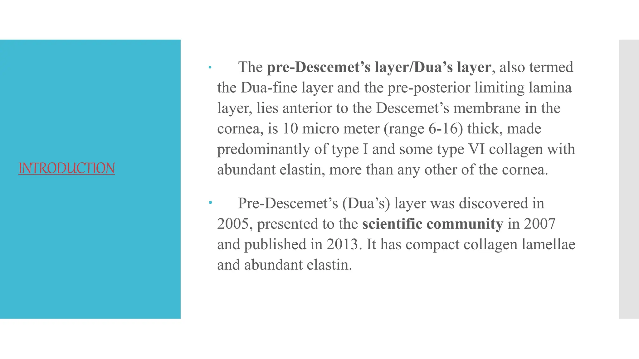 THE LAYER AFTER THE LEAD.pptx human eyes | PPTX