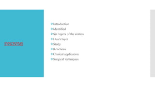 THE LAYER AFTER THE LEAD.pptx human eyes | PPTX | Eye and Vision ...