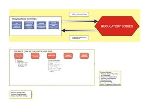 The LCM vee model.docx