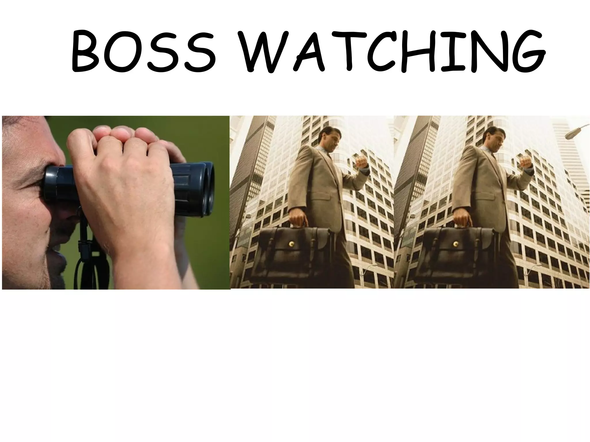 The Leaderfish | PDF