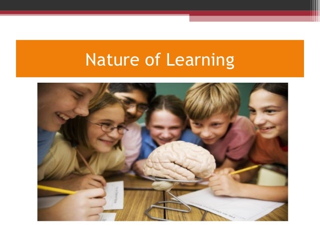 The Learning Process