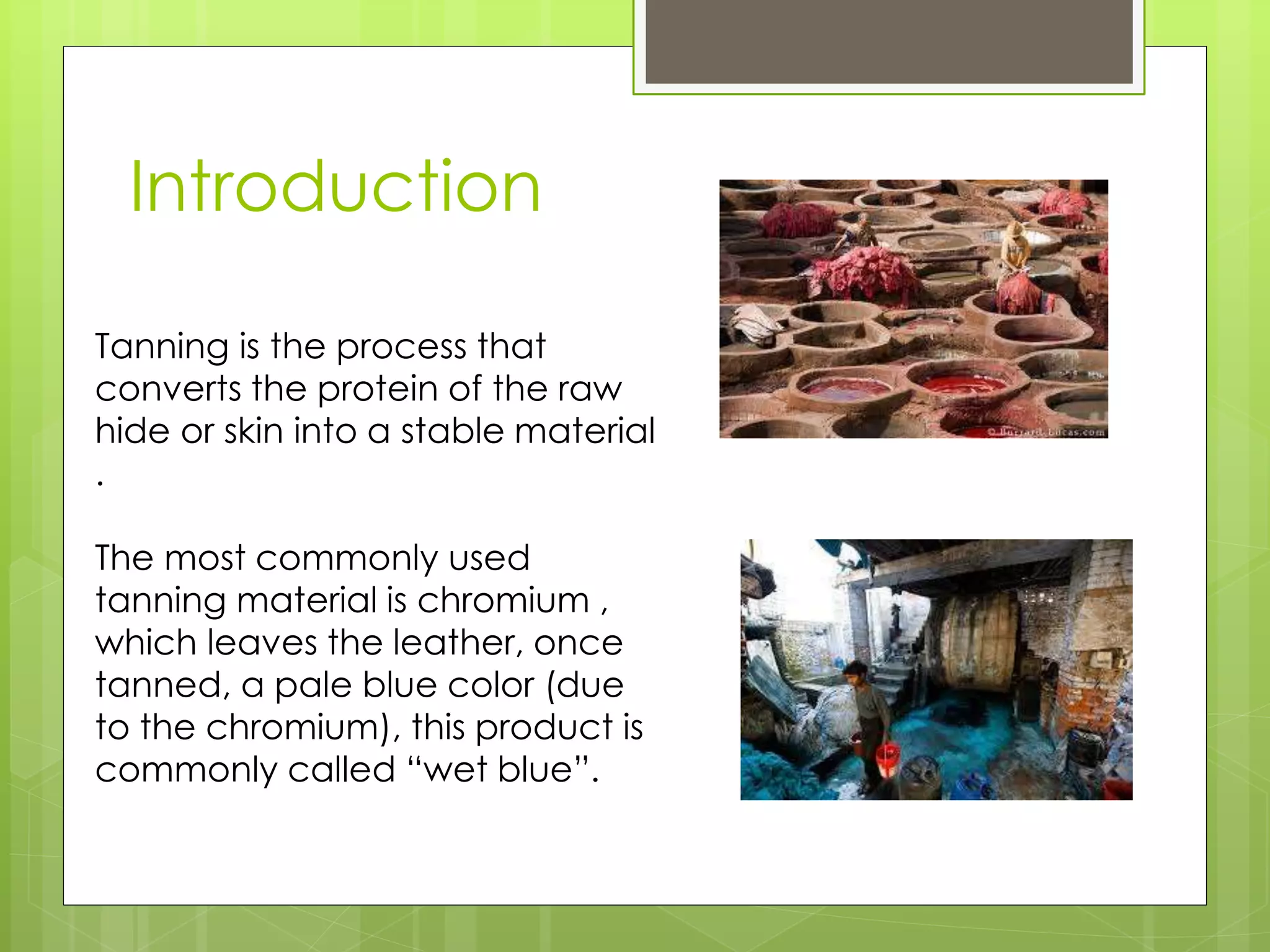 The Leather tanneries of Vellore | PPTX