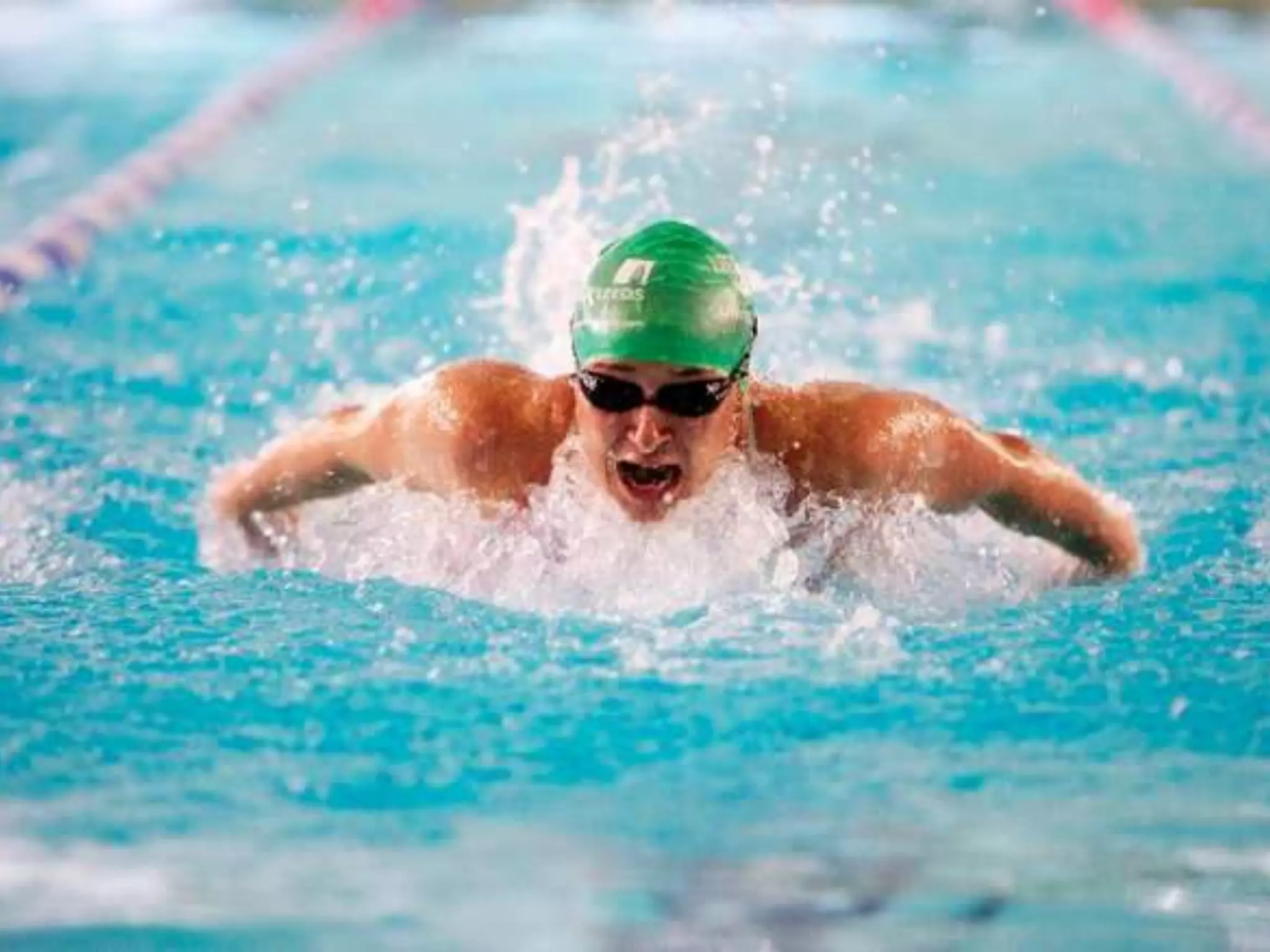 Who are the LEEDS Gryphons? | PPT