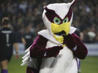 Who are the LEEDS Gryphons? | PPT