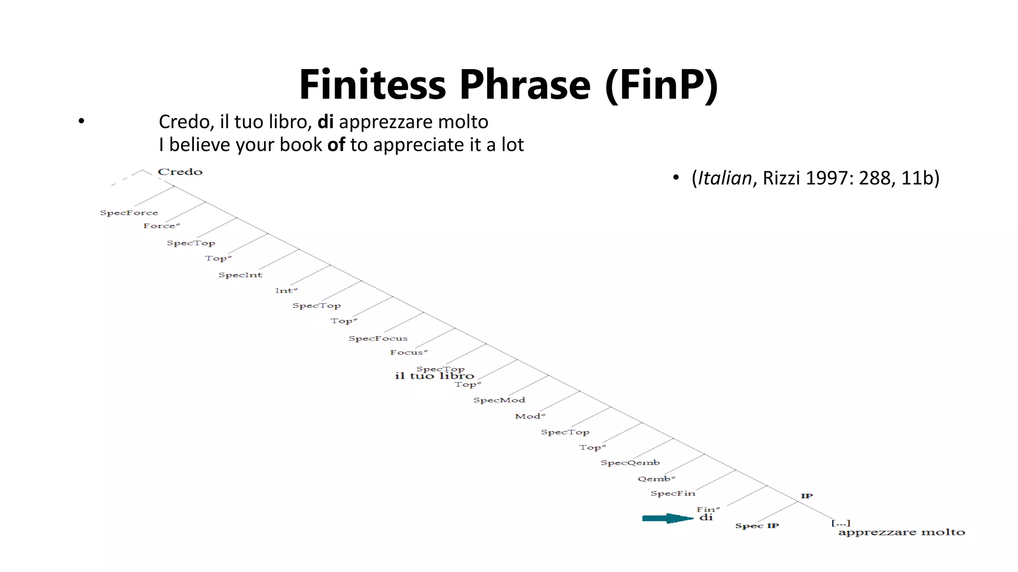 The left-periphery.pptx