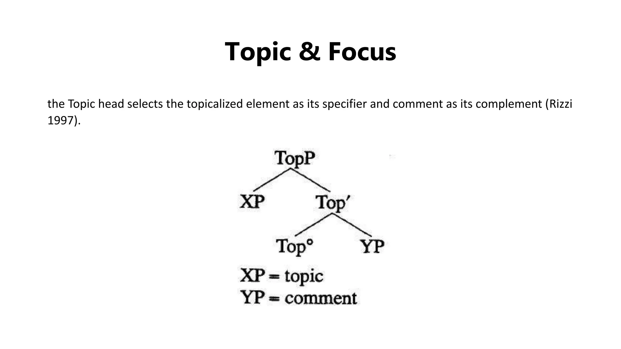 The left-periphery.pptx