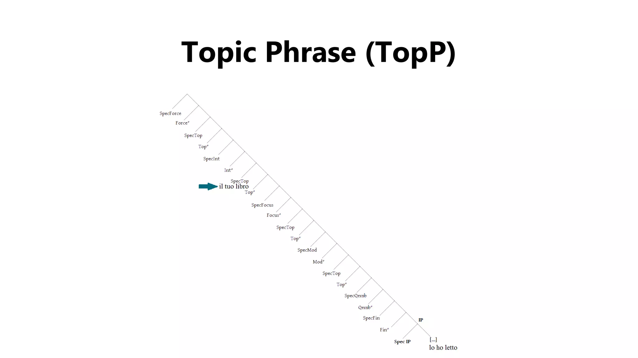 The left-periphery.pptx