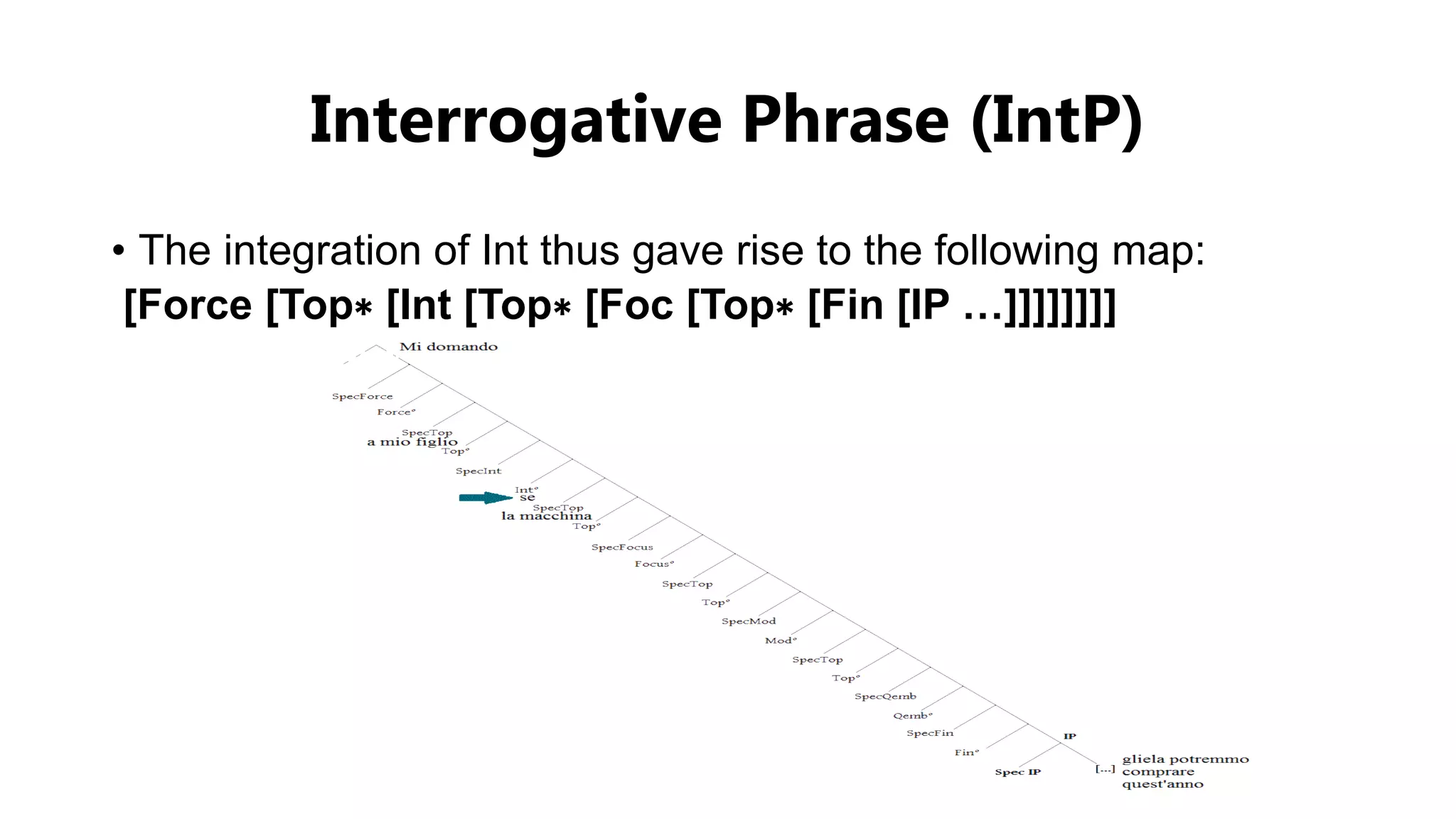 The left-periphery.pptx