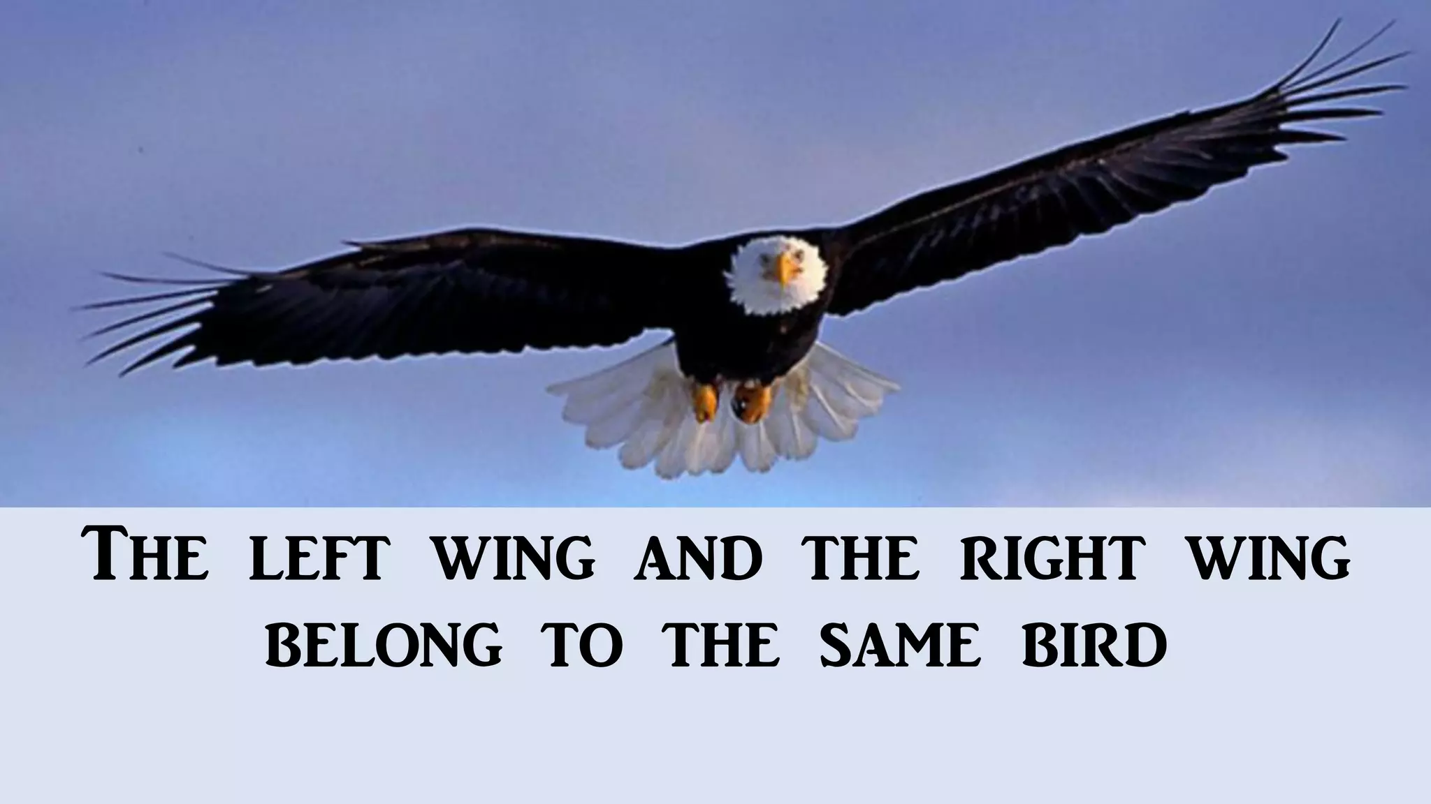 The left wing and the right wing - one bird. | PDF