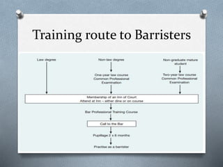 The legal profession.ppt