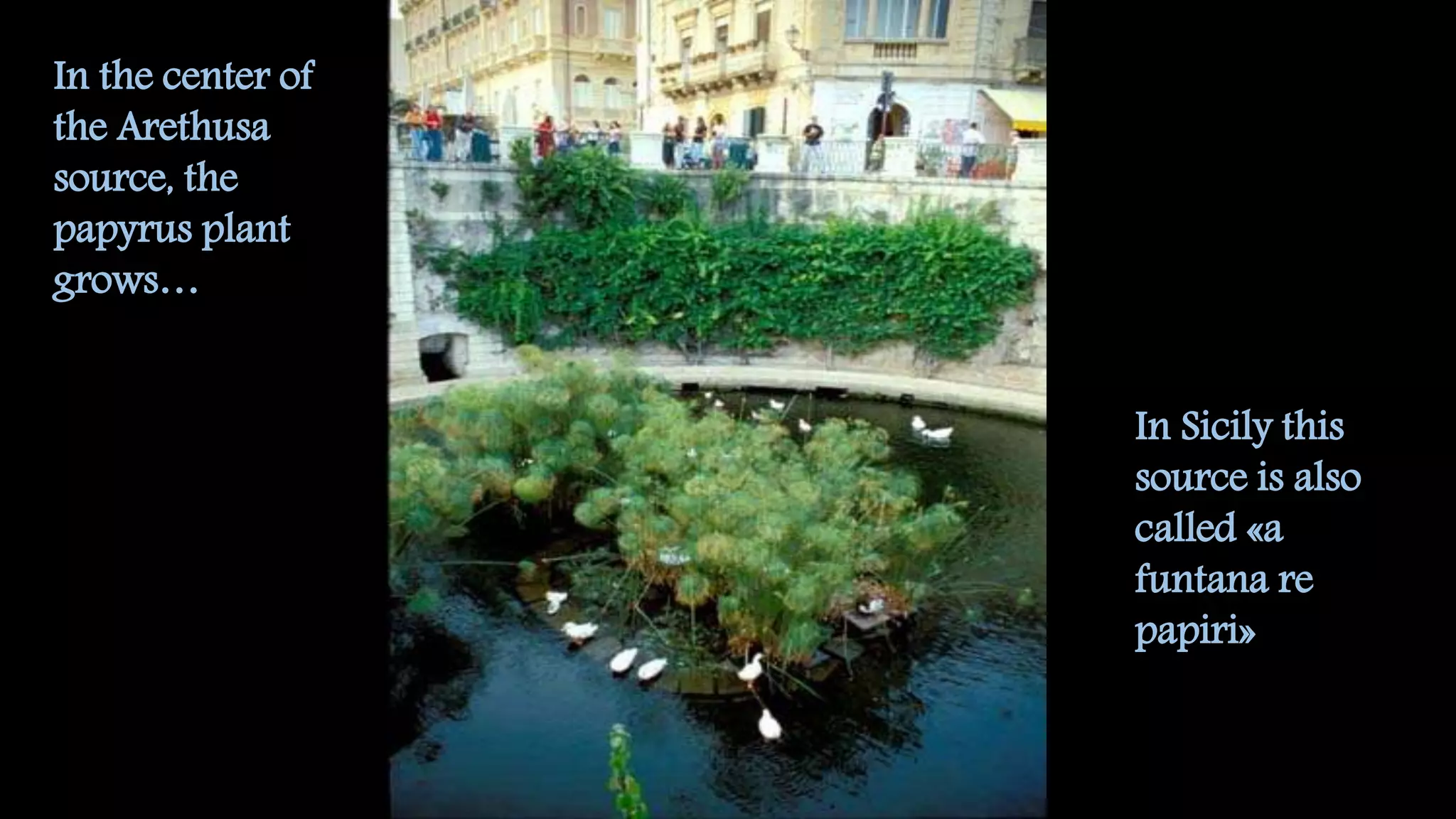 The legend of Arethusa | PPT