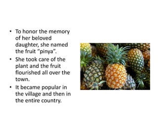The legend of the pineapple | PPTX