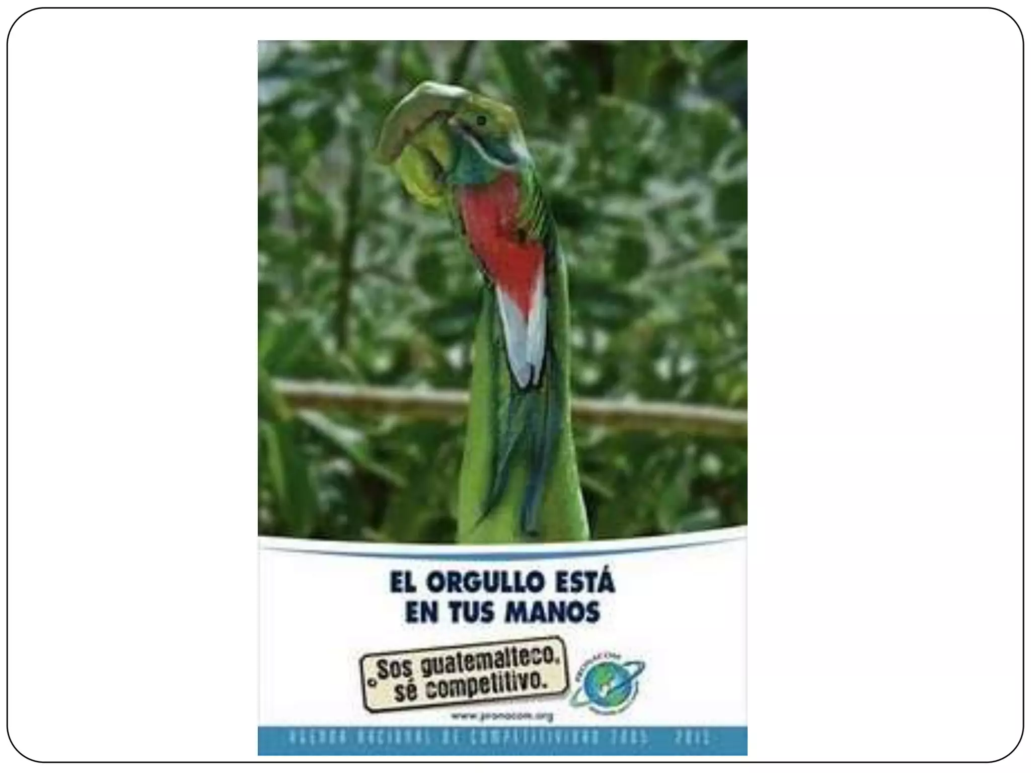 The legend of the quetzal | PPTX