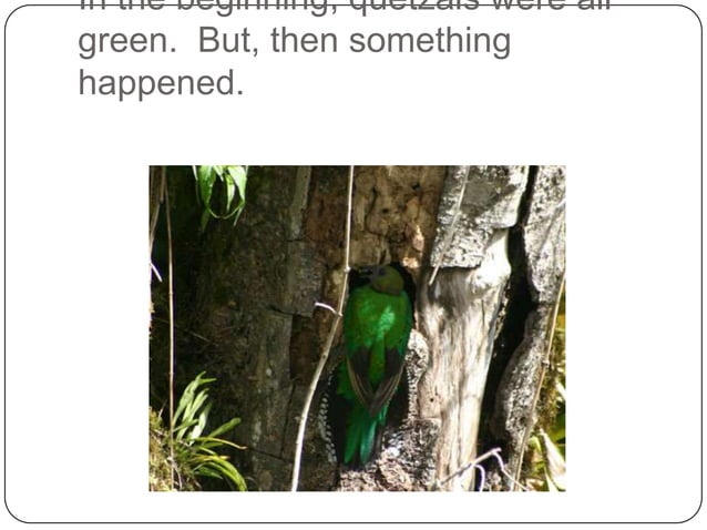 The legend of the quetzal | PPTX