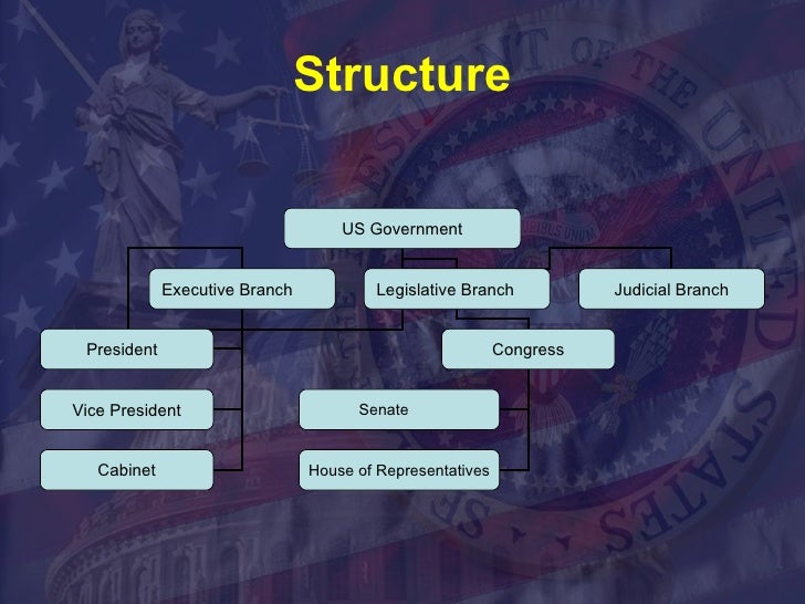 The Legislative Branch New