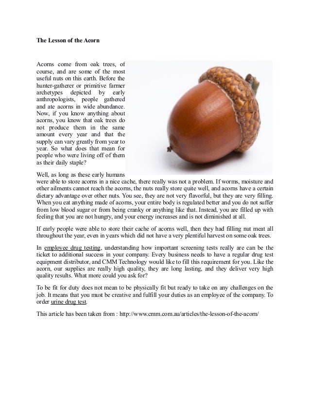 The lesson of the acorn