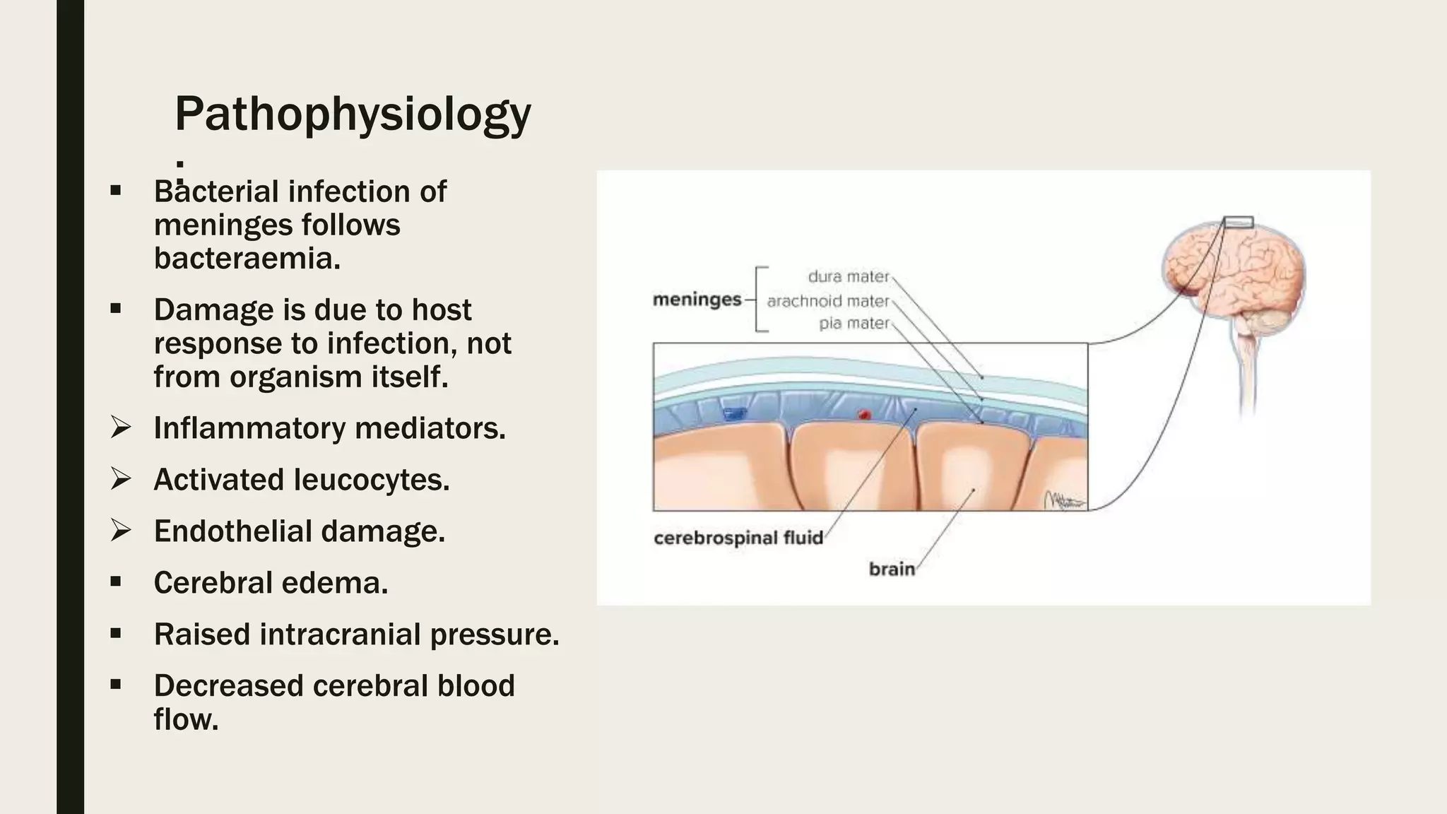 The lethargic infant | PPT