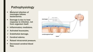 The lethargic infant | PPTX