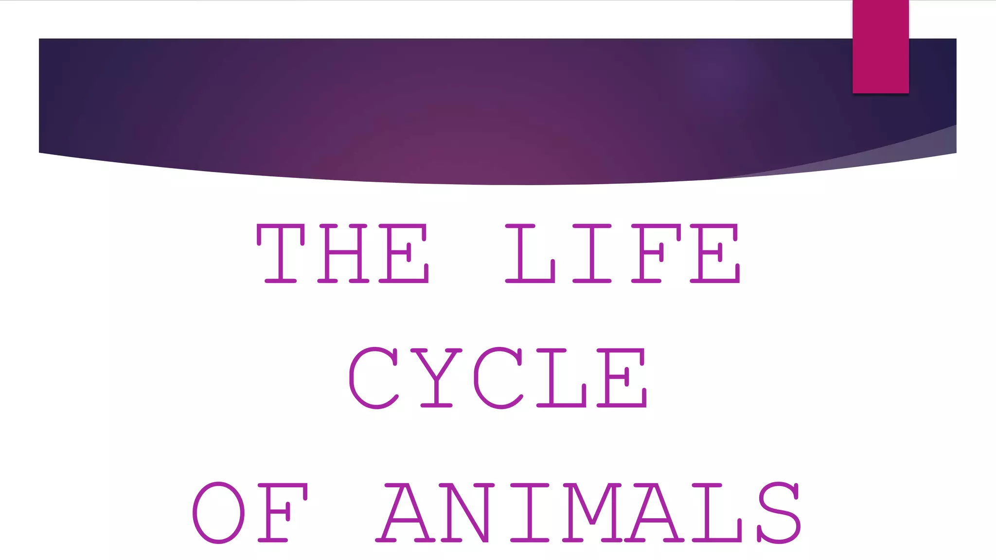 The life cycle of animals | PPTX