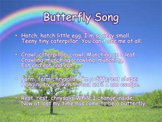 The Life Cycle Of A Butterfly | PPTX