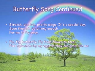 The Life Cycle Of A Butterfly | PPT
