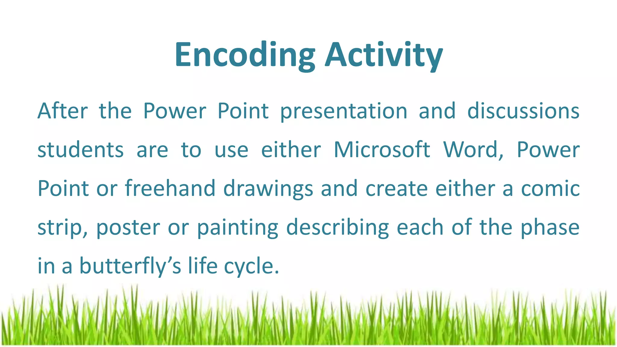 The life cycle of a butterfly | PPTX