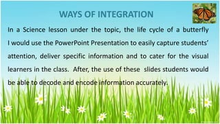 The life cycle of a butterfly | PPTX