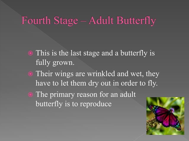 The life cycle of a butterfly bad example | PPTX