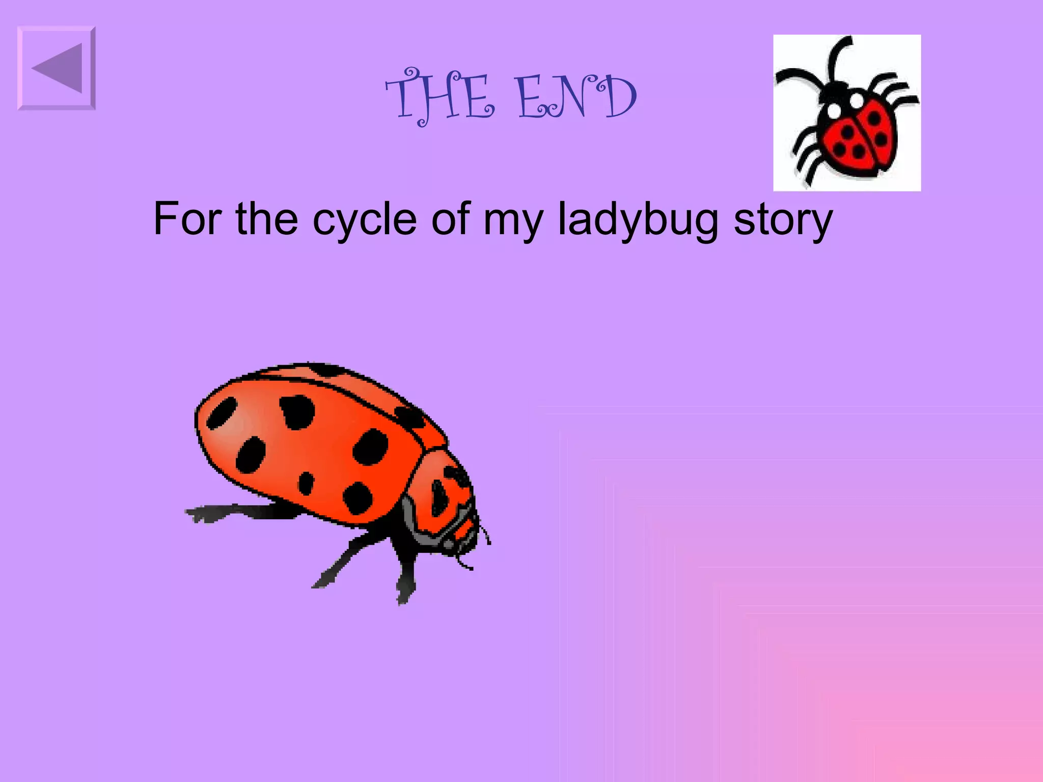 The lifecycle of a ladybug | PPT