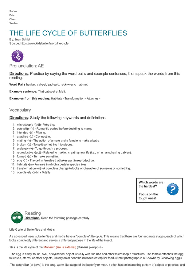 The life cycle of butterflies-LessonWriter | PDF | Biological Sciences ...