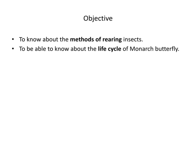 A presentation on lifecycle and rearing of monarch butterfly. | PPTX ...