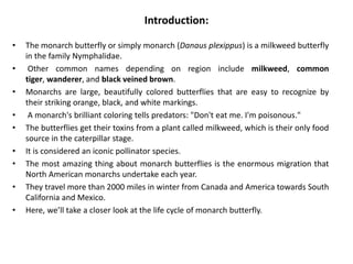 A presentation on lifecycle and rearing of monarch butterfly. | PPTX