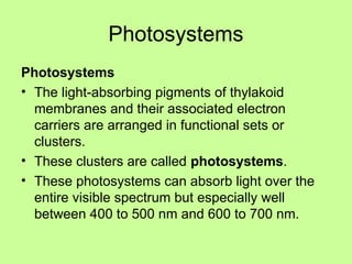 light dependent reaction lecture note-130411061851-phpapp01.ppt