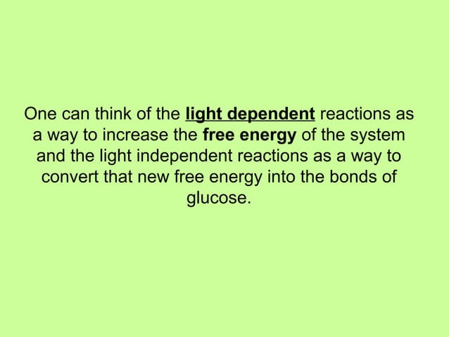 The light dependent reaction | PPT | Chemistry | Science