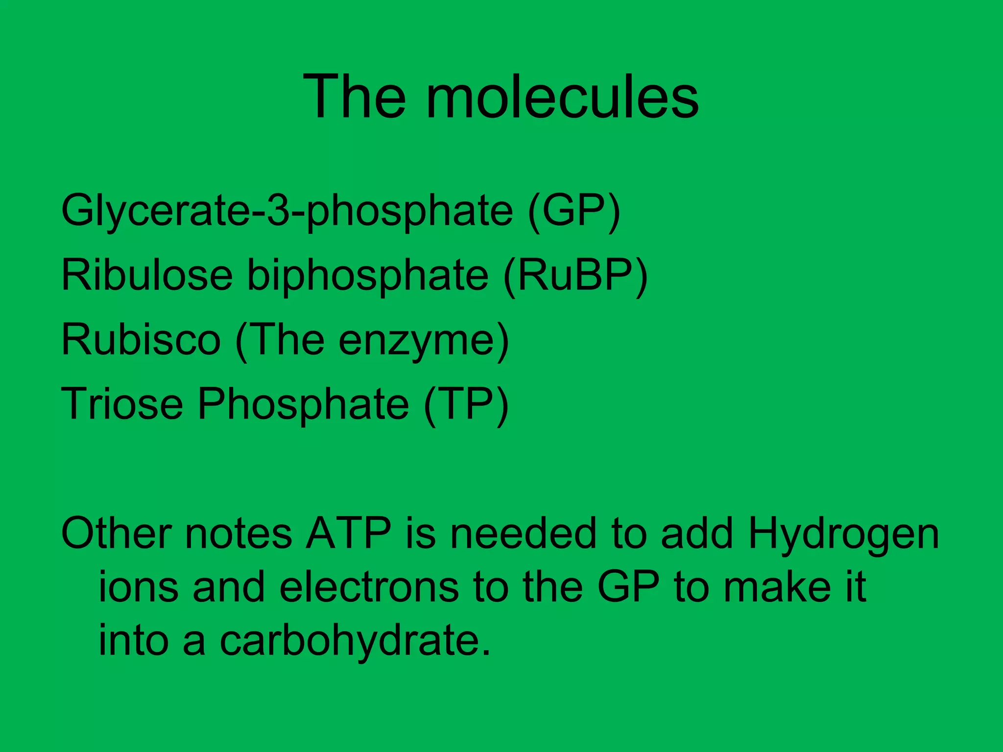 The light independant reaction | PPT