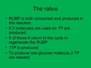 The light independant reaction | PPT