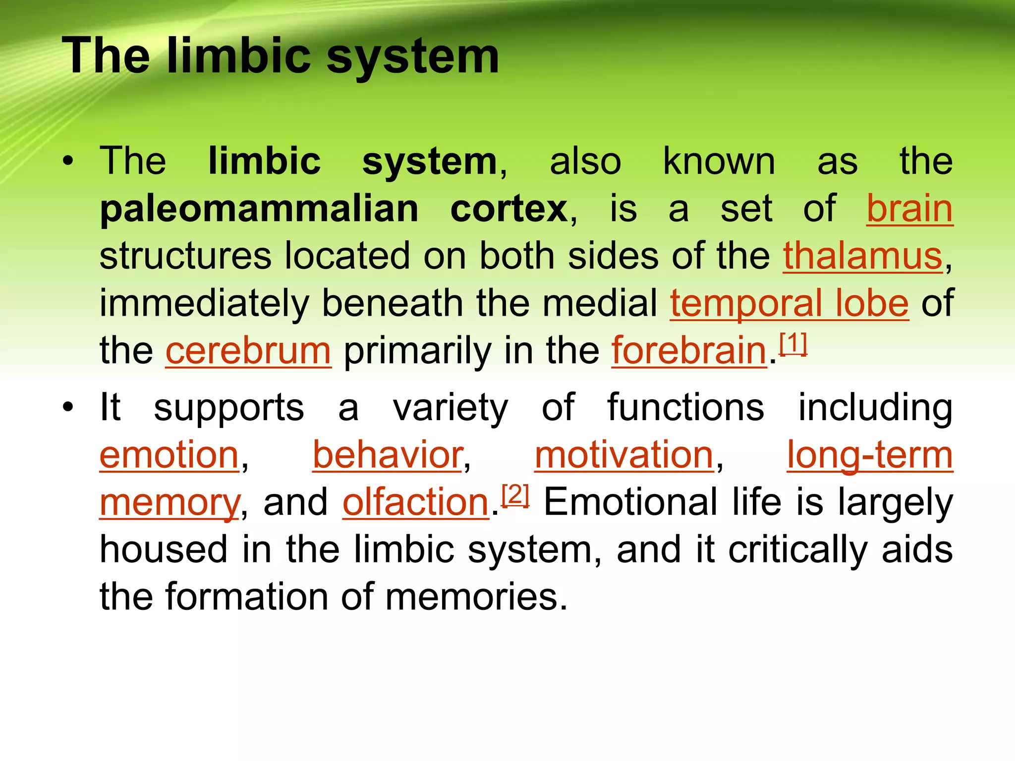 The limbic system | PPTX