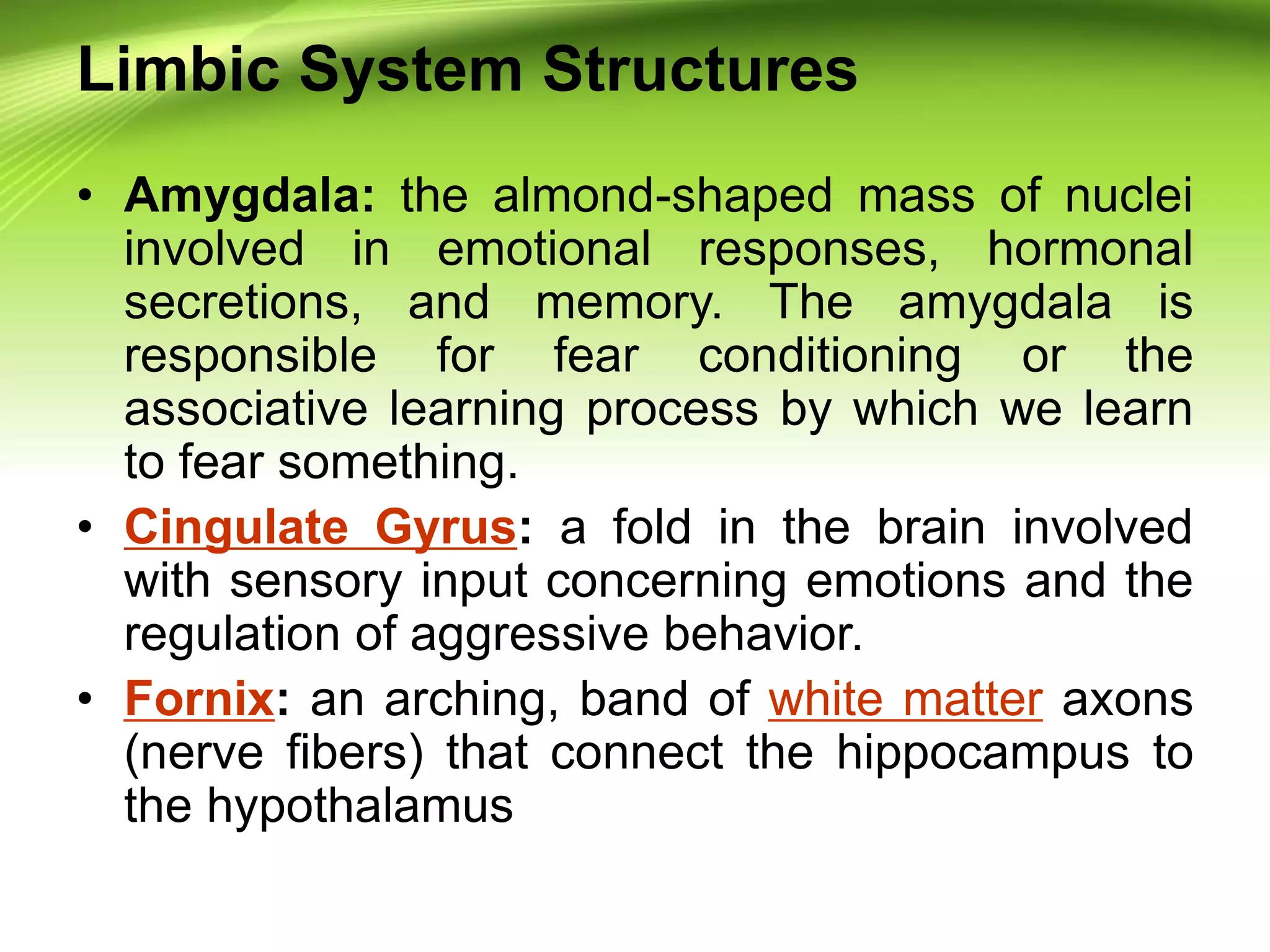 The limbic system | PPTX