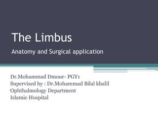 The limbus | PPTX