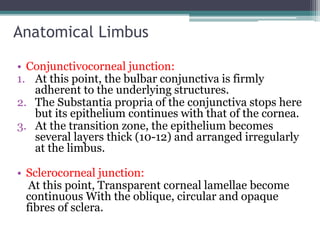 The limbus | PPTX
