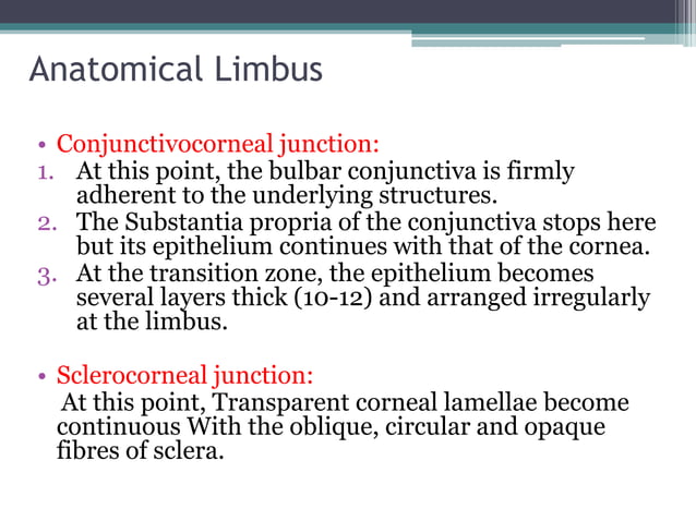 The limbus | PPTX