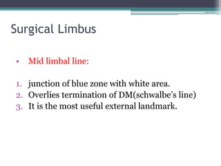 The limbus | PPTX
