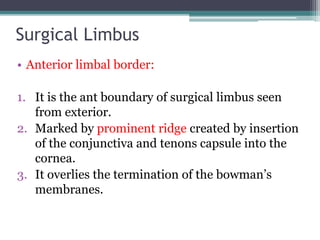 Limbus