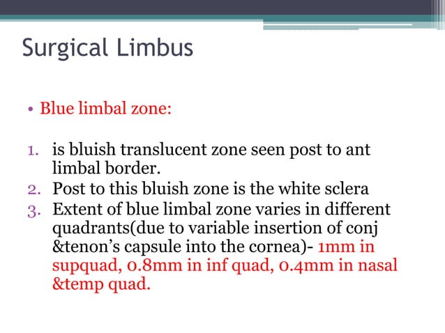 The limbus