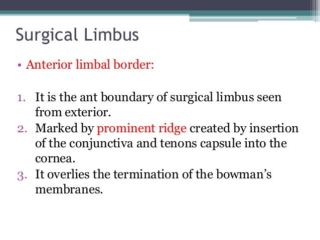 The limbus